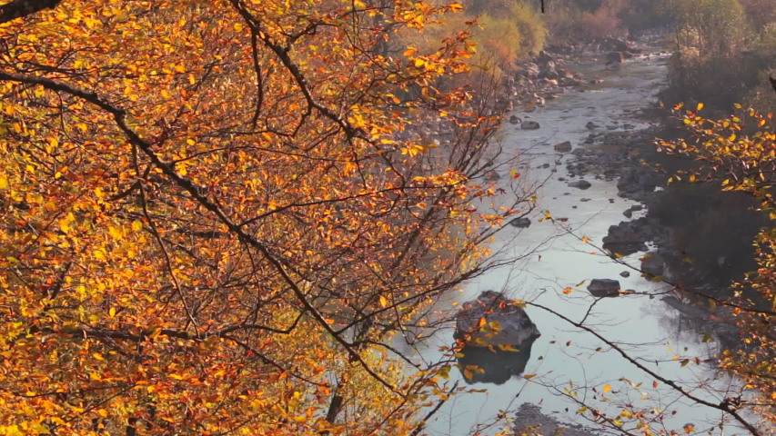 Rapids and river scene in the wild image - Free stock photo - Public ...