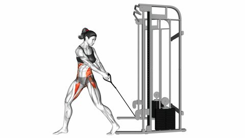 cable hip adduction exercise anatomy fitness Stock Footage Video (100% ...