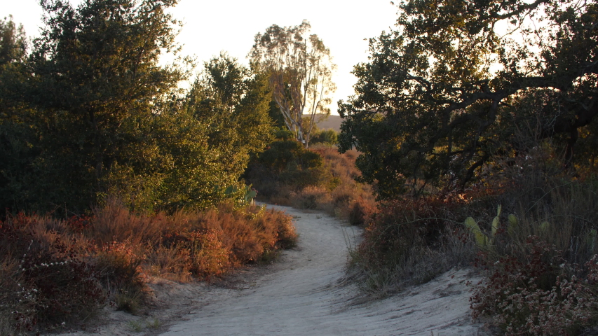 Hiking Trail into the Prairie image - Free stock photo - Public Domain ...