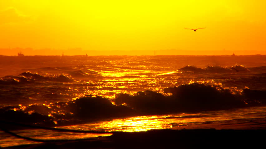 Morning Sea Stock Footage Video (100% Royalty-free) 104311 | Shutterstock