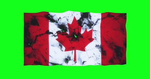 Ripped Tattered Canadian Flag Maple Leaf Stock Footage Video (100% ...