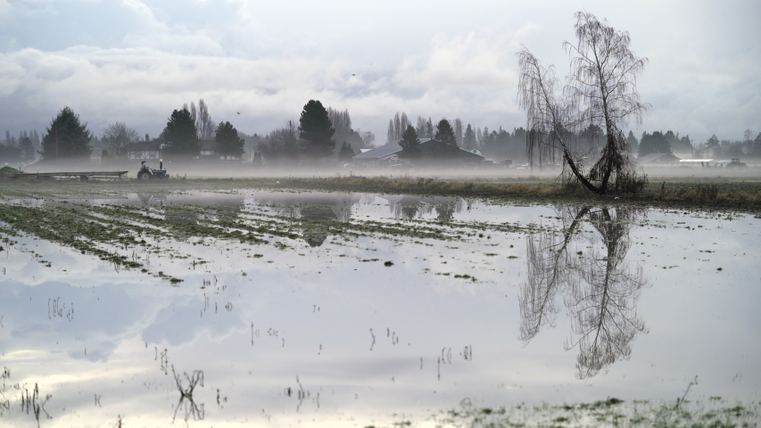 Muddy Flooded Farm Field 4k Stock Footage Video (100% Royalty-free ...