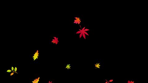 Autumn Leaves Falling Animation Motion Graphics Stock Footage Video ...