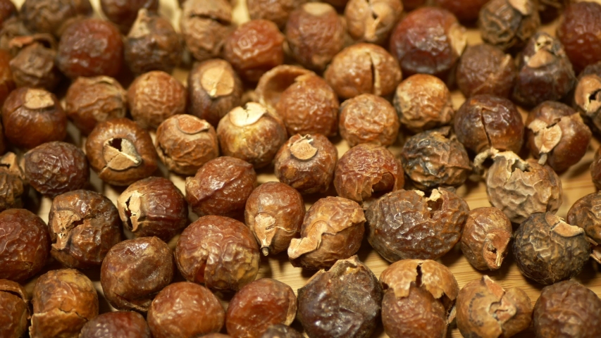 Soap Nuts Indian Soapberry or Stock Footage Video (100% Royalty-free ...