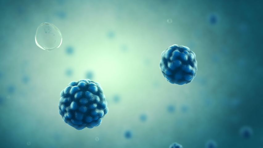 Bacteria Cells Macro Realistic Animation Stock Footage Video (100% ...