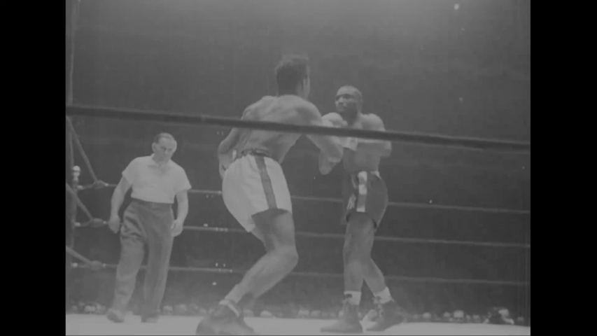 Norvel lee Stock Video Footage - 4K and HD Video Clips | Shutterstock