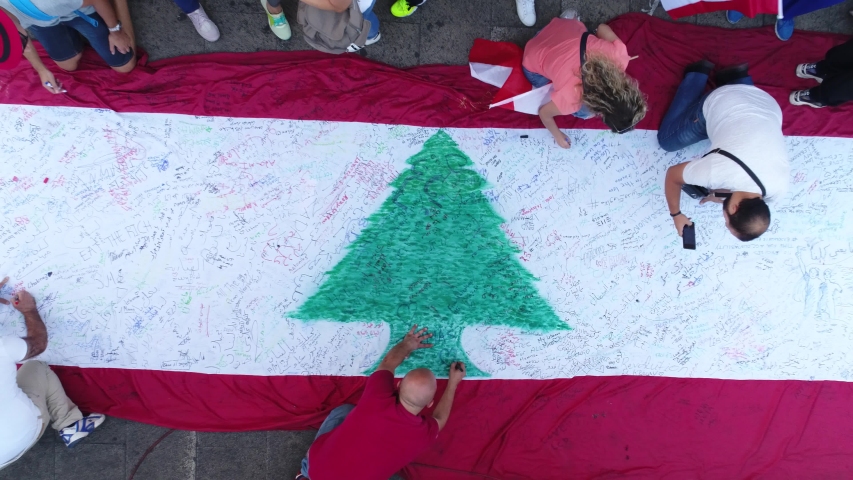 17 eggs Stock Video Footage - 4K and HD Video Clips | Shutterstock