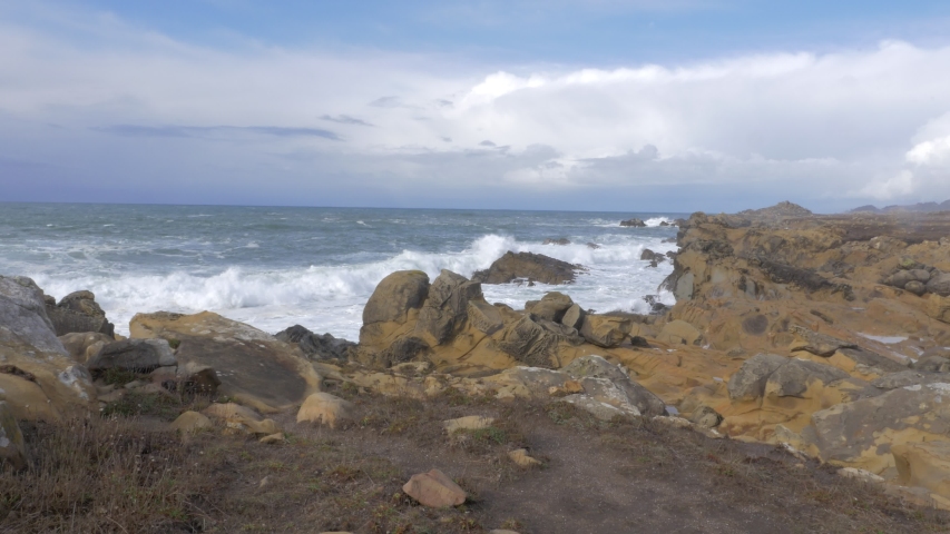 Landscape along the shoreline at point beach state park image - Free ...