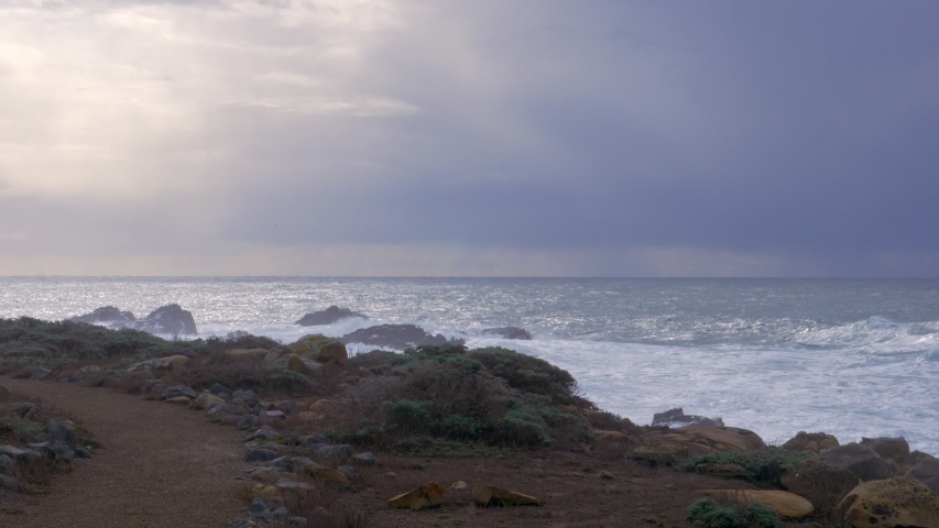 Landscape along the shoreline at point beach state park image - Free ...