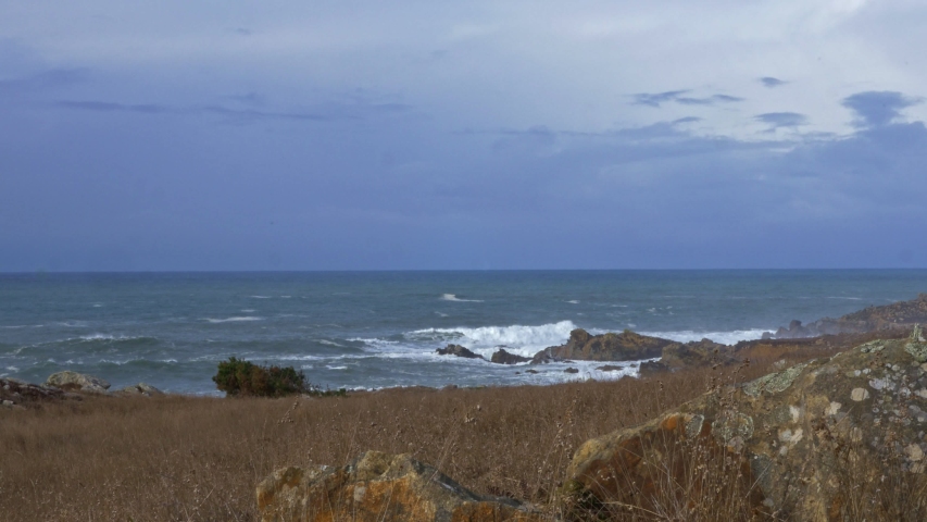 Landscape along the shoreline at point beach state park image - Free ...