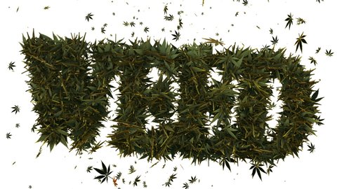 Flying Cannabis Leaves On Whiteweed Concept Stock Footage Video (100% ...