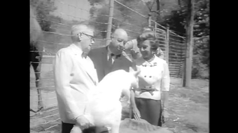 2 Pat Hitchcock Stock Video Footage - 4K and HD Video Clips | Shutterstock