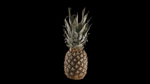 Pineapple Spinning Rotating Isolated Against Transparent Stock Footage ...