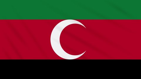 Darfur Flag Waving Cloth Ideal Background Stock Footage Video (100% ...