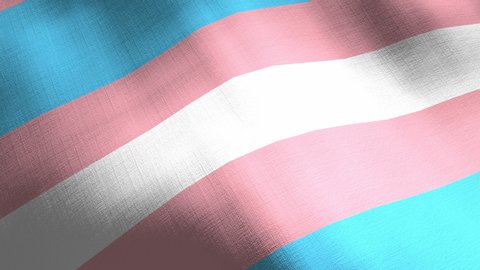 Trans woman Stock Video Footage - 4K and HD Video Clips | Shutterstock