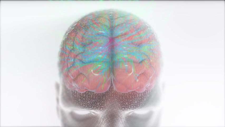 3d animation vfx anatomy brain glowing Stock Footage Video (100% ...