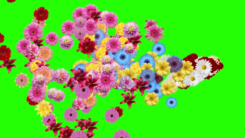 group flower bloom animation on green Stock Footage Video (100% Royalty ...