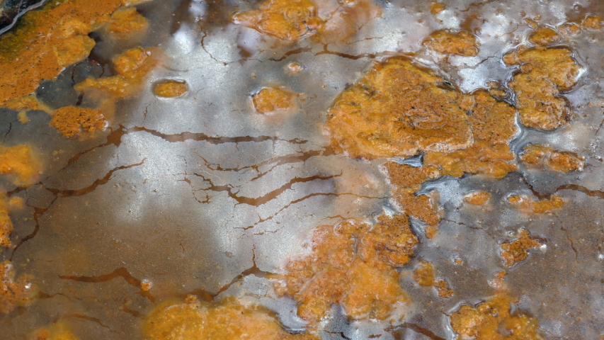 Bacterial Scum On the Surface Stock Footage Video (100% Royalty-free ...