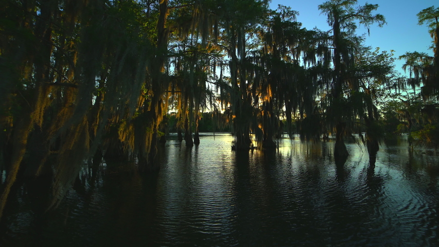 Bayou Stock Video Footage | Royalty Free Bayou Videos | Pond5