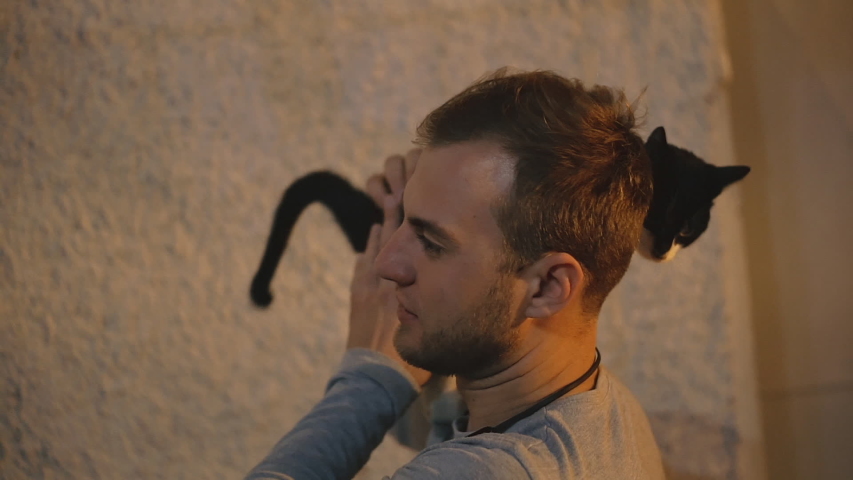 Catman Stock Video Footage - 4K and HD Video Clips | Shutterstock