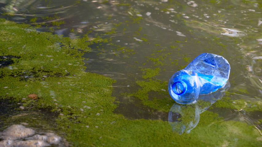 Algae filled pond image - Free stock photo - Public Domain photo - CC0 ...