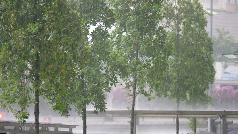 Heavy Rain Falling On Trees Street Stock Footage Video (100% Royalty ...