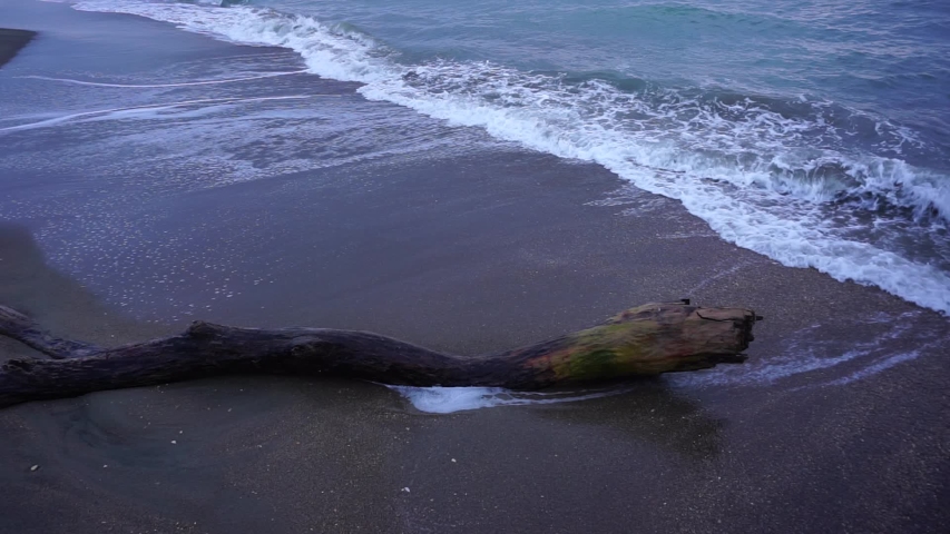 old trunk carried by tide on Stock Footage Video (100% Royalty-free ...