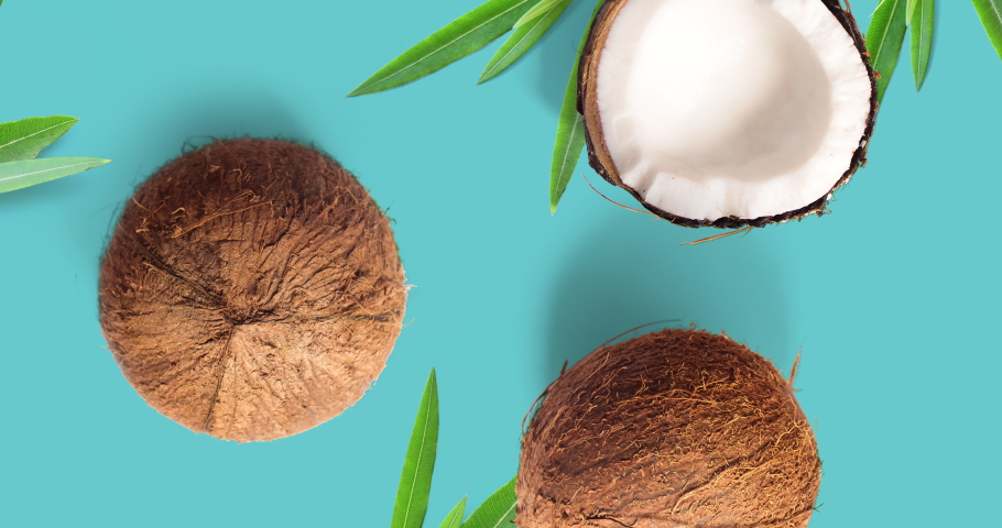 Motion Animation with Coconut. Coconut Stock Footage Video (100% ...