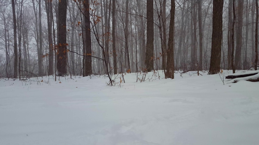 Winter with snow on the ground landscape image - Free stock photo ...