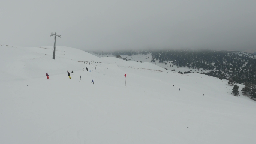 Groups of Turkeys in the snow image - Free stock photo - Public Domain ...