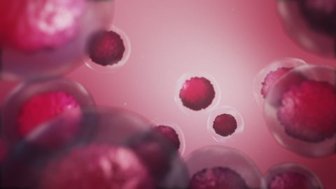 3d Animation Living Cells Realistic Organic Stock Footage Video (100% ...