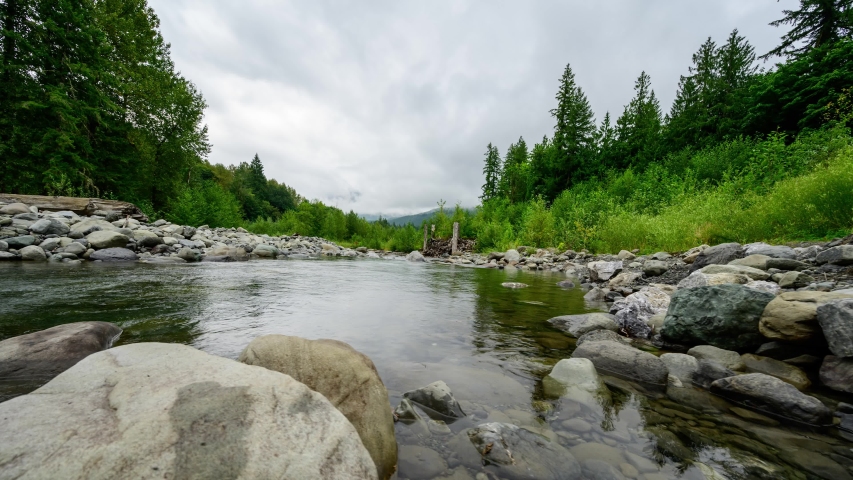 Stream and Brook landscape in Washington image - Free stock photo ...