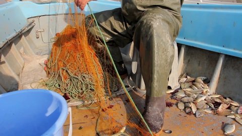 Fisherman Empty Fish Net His Small Stock Footage Video (100% Royalty ...