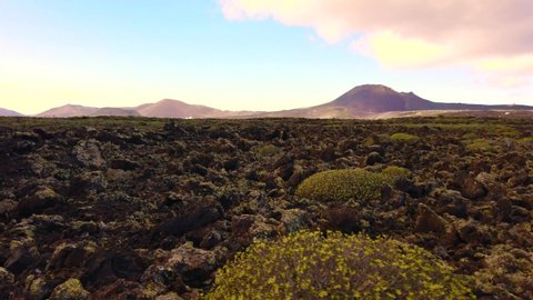 View Volcano Canary Island Greenery Landscape Stock Footage Video (100% ...