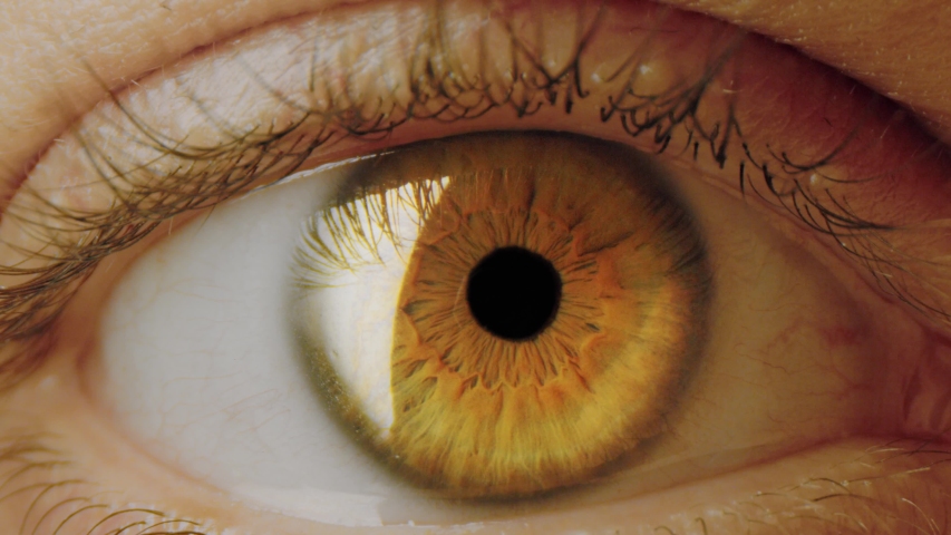 macro colourful human eye moving toward Stock Footage Video (100% ...