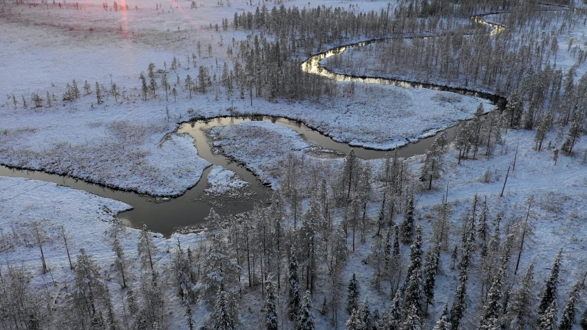 Autumn Forest overlook at Dusk image - Free stock photo - Public Domain ...