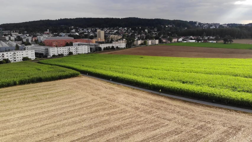 Overlook of Zurich in Switzerland image - Free stock photo - Public ...