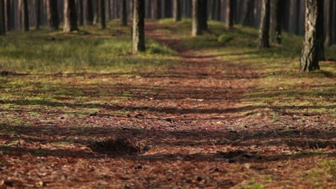 Stock Video Portfolio by Michal Rozanski | Shutterstock