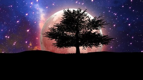 Fantasy 3d Animation Moon Planet On Stock Footage Video (100% Royalty ...