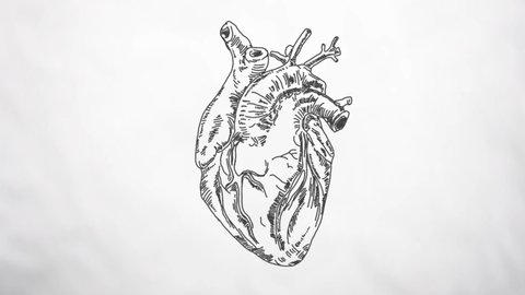 Traditional Minimal Style Animation Heart Pumping Stock Footage Video ...