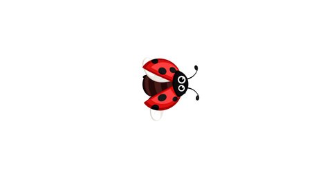 Ladybug Flies Lands Flies Away On Stock Footage Video (100% Royalty ...