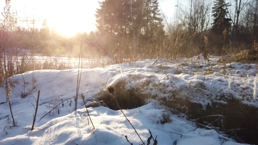 Sunset in the winter with snow on the ground image - Free stock photo ...