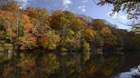 Chitose River Autumn Shikotsutoya National Park Stock Footage Video ...