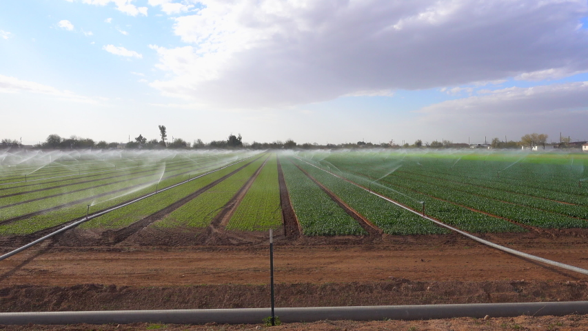 Arizona Agriculture Stock Video Footage - 4K and HD Video Clips ...