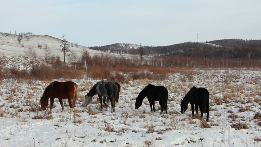 Snowy Ranch Landscape image - Free stock photo - Public Domain photo ...