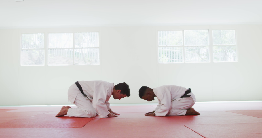Judo Bow Stock Video Footage - 4K and HD Video Clips | Shutterstock