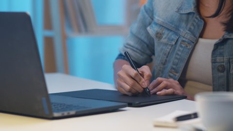 Diverse Office Enthusiastic Indian Programmer Working Stock Footage ...