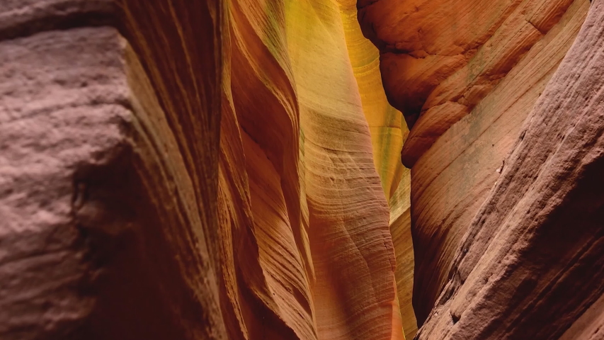 567 Alula Stock Video Footage - 4K and HD Video Clips | Shutterstock