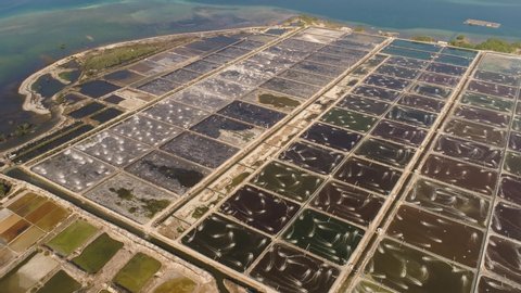 Video Shrimp Farming Indonesia Stock Footage Video (100% Royalty-free ...