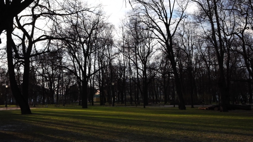 close-up beautiful park green grass bare Stock Footage Video (100% ...